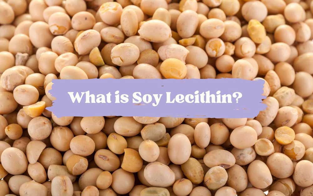 Soya Lecithin - Raymand.co.com