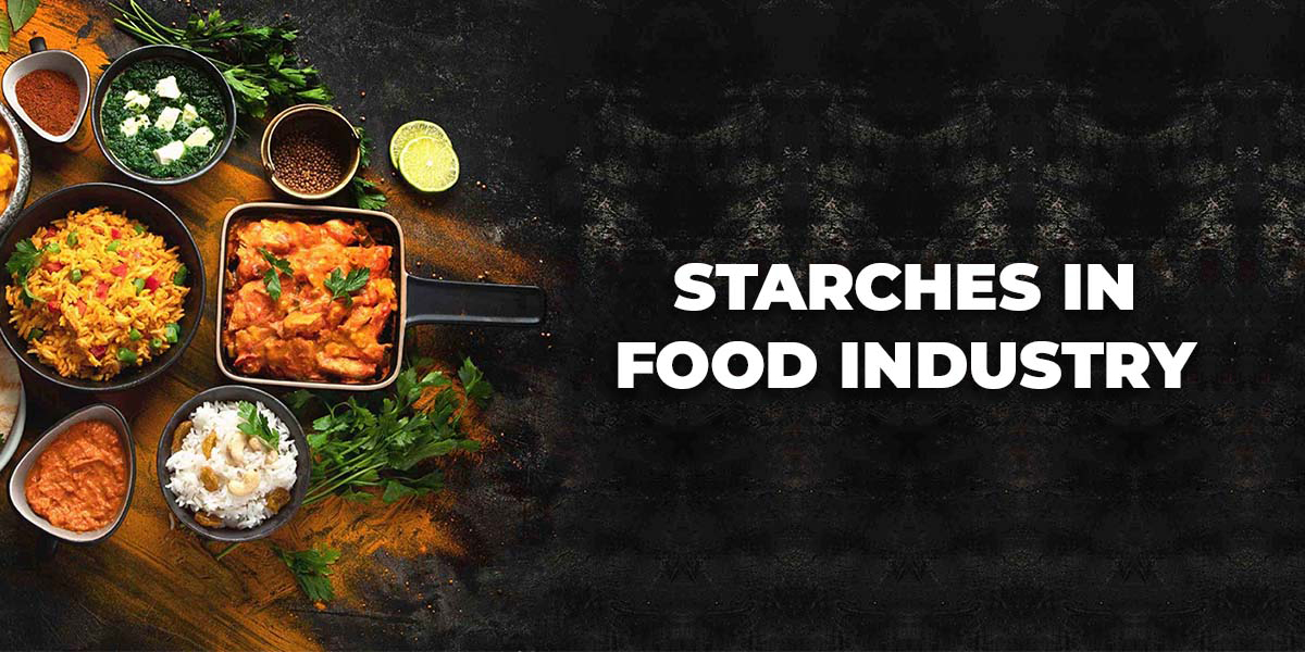 Modified Starch - Raymand.co.com
